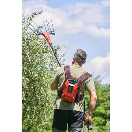 Professional Telescopic Battery Olive Harvester - BLUEBIRD Switzerland